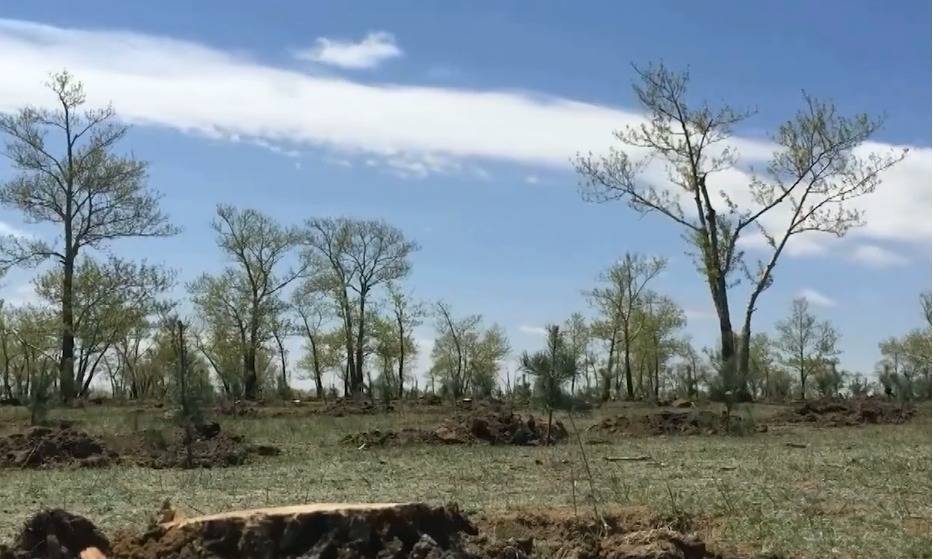 如果地球上的沙漠,全部变成森林,会有什么后果?