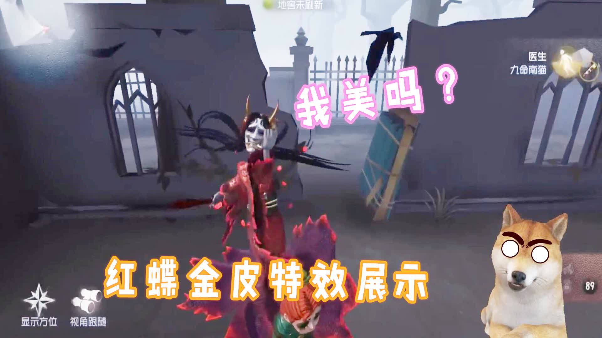 解说侦探:史上最丑的金皮?红蝶白无垢礼包展示,看完还想买吗?