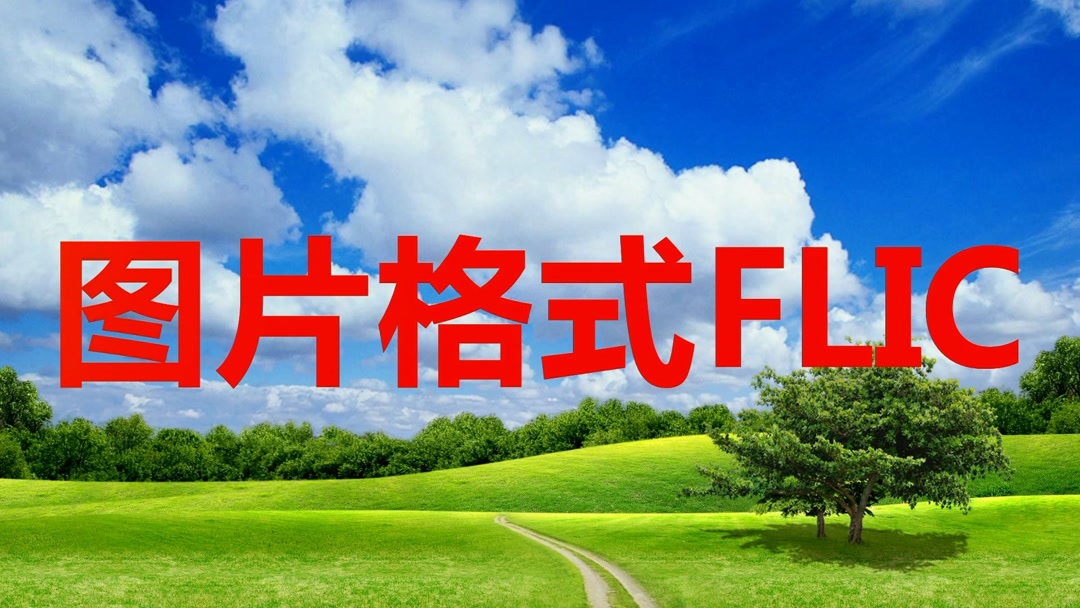图片格式FLIC