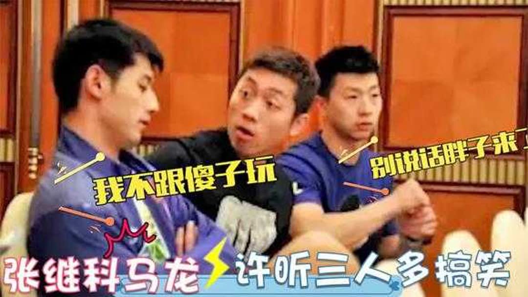 当马龙遇上张继科许昕:三个人就像说群口相声!刘国梁拦都拦不住