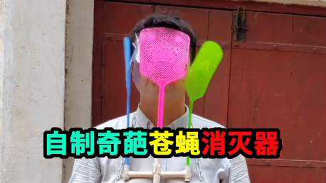 自制奇葩苍蝇消灭器,发明刑具这一片,没人能比得上你了