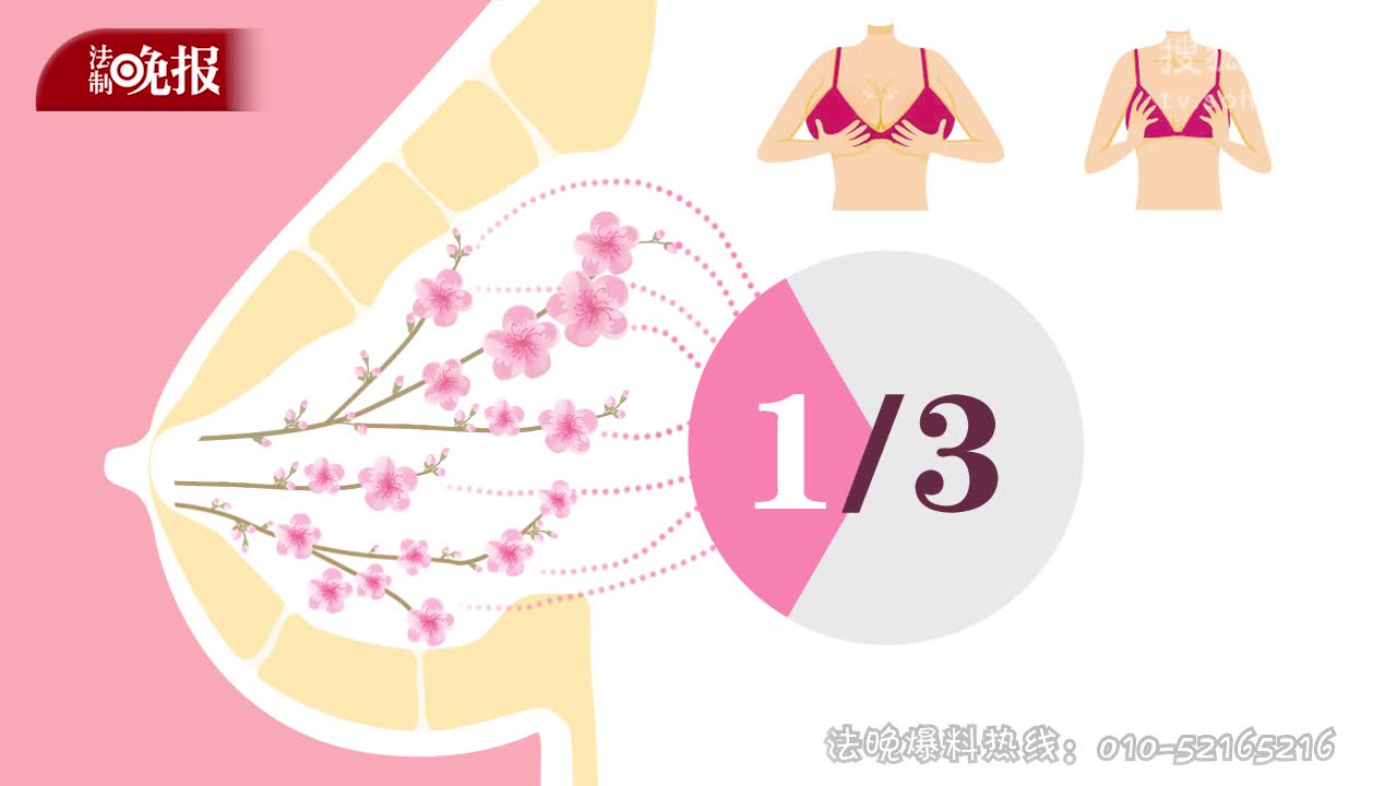 【动画】大胸妹子易患乳腺癌? 真正的“凶手”是肥胖