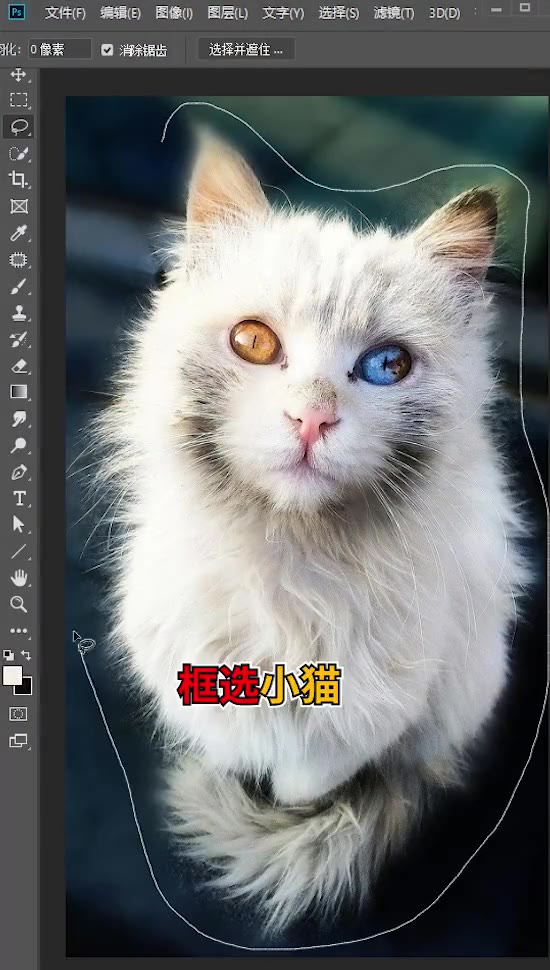 【PS教程】PS教你抠毛发旺盛的动物