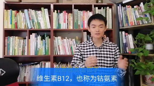 维生素B12的生理功能
