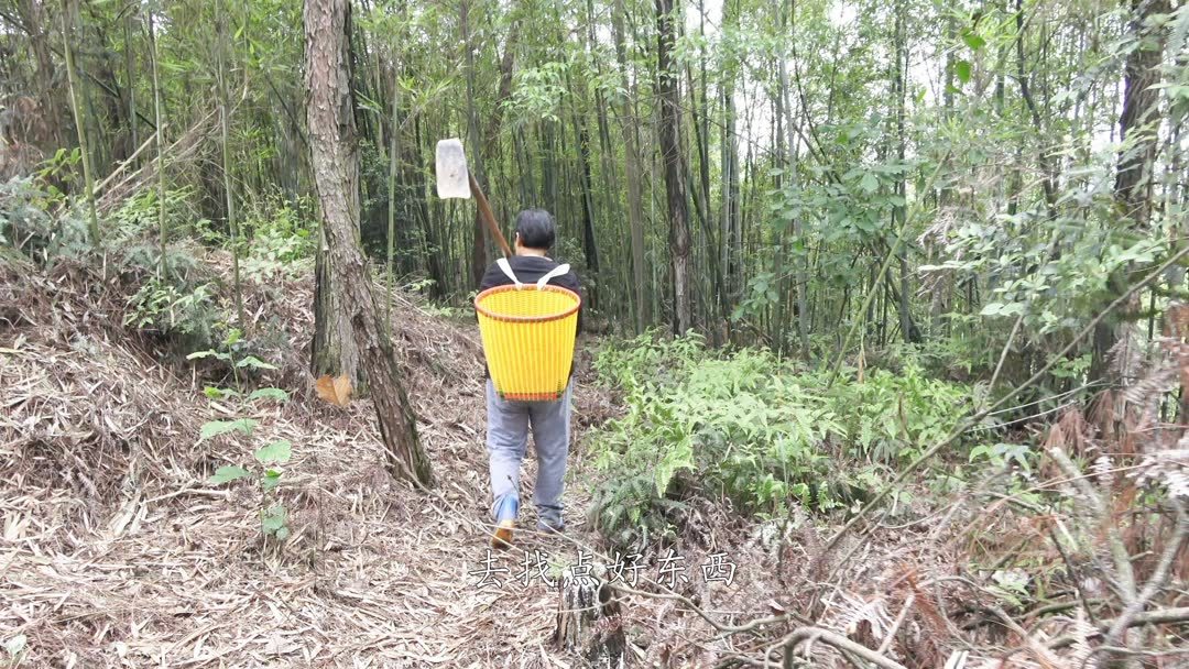 小伟走亲戚家,还不忘挖点好东西回家吃,山里比较多
