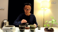 【精彩芬呈】首届人福杯重症镇痛镇静病例讨论大赛总决赛西部赛区...