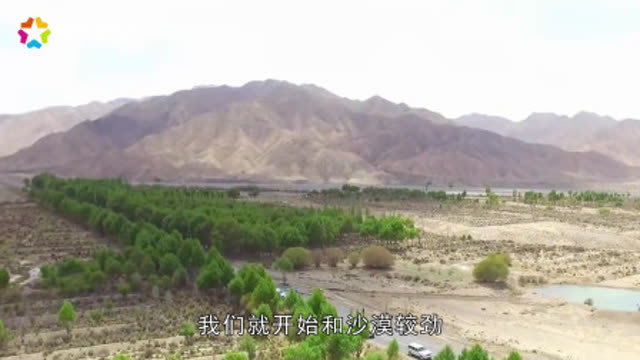 中国治沙30年,当沙漠变绿洲后却出现了这东西?治沙人:白干了!