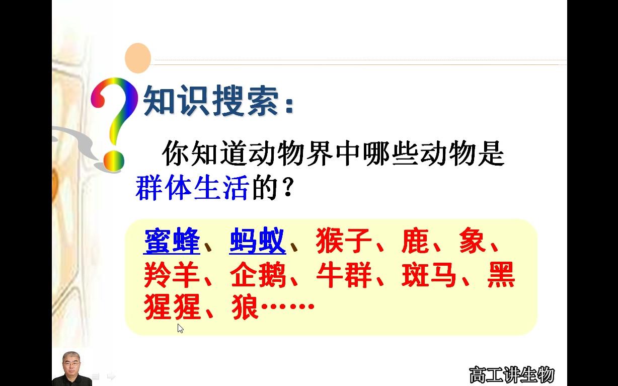 高工讲生物八年级(初二)生物上册第二章动物的运动和行为第三节社会...