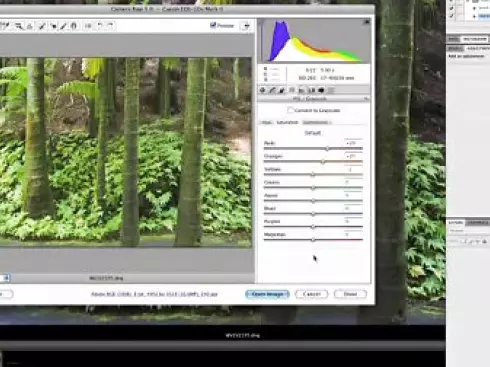 Photoshop 色彩工具使用教程 共23讲 03-Raw Conversion 理想视频教程