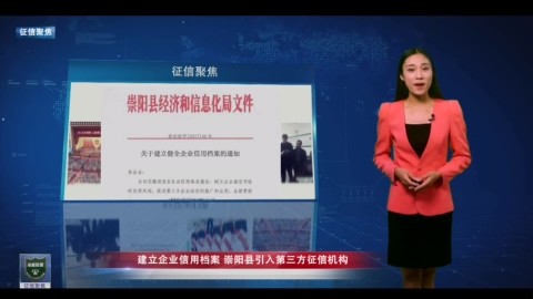 01.崇阳县政府委托绿盾征信完善企业信用档案