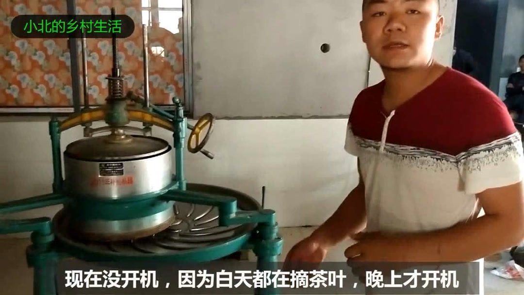 农村小伙家里的云雾绿茶,一天才能摘几斤,你喝过这样的茶吗