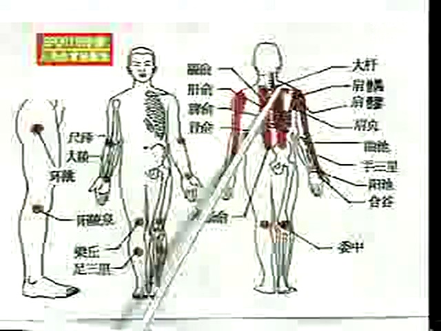 刮痧疗法及30种常见病的刮痧治疗