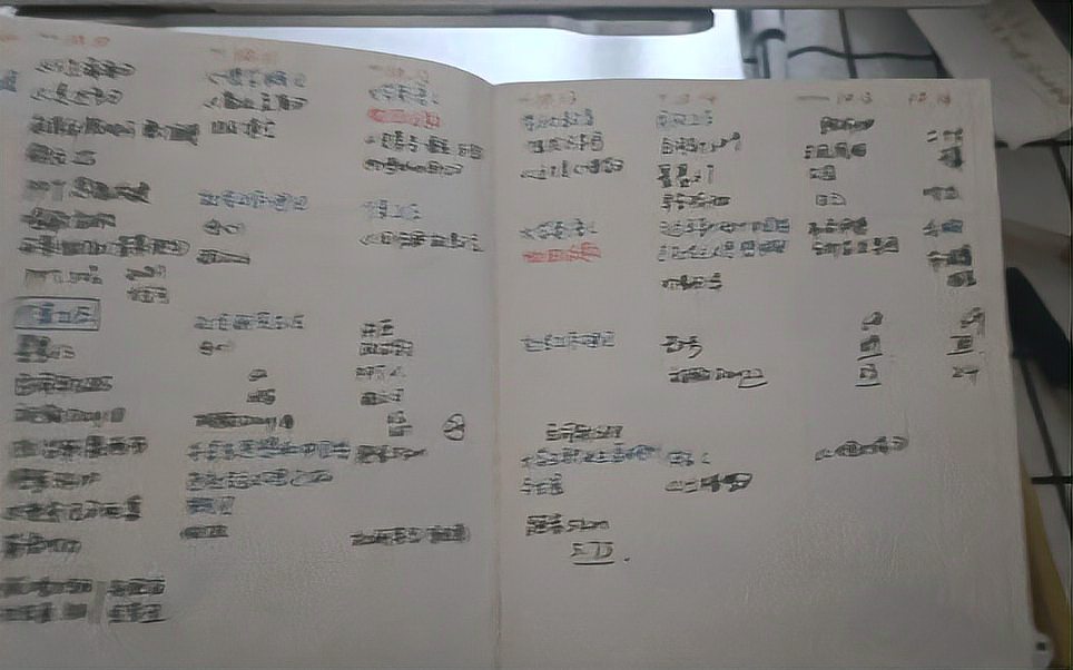 【一人学】09 一周计划|weekly plan|上课|自学|期中