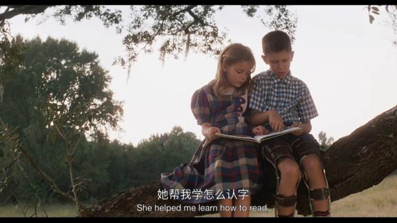 人生要看的五部电影《阿甘正传》上,关于逆境,不一样的憨憨