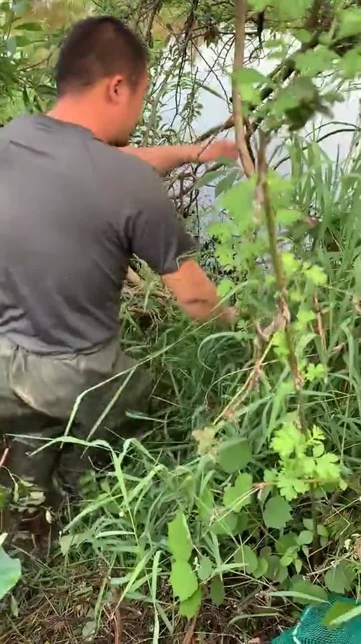 ...明天开工,第一批预定两门有优惠质量都是精品带生产工人编号质量放心