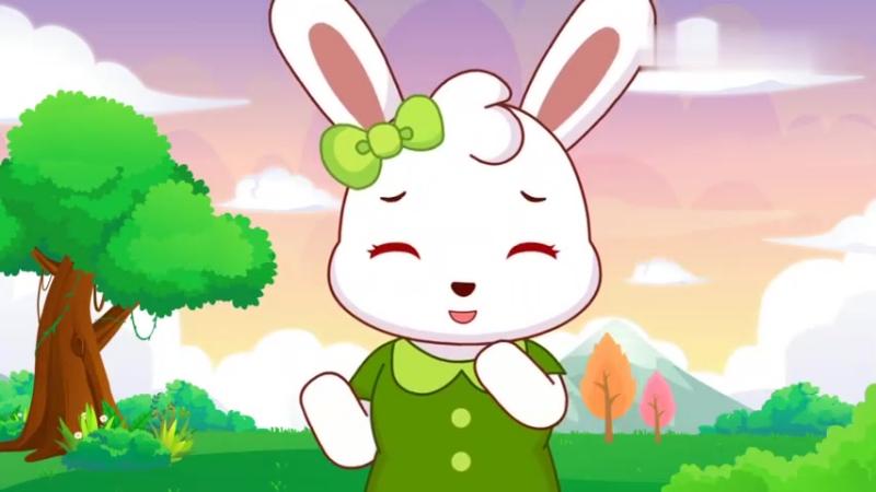 花儿为什么会开放