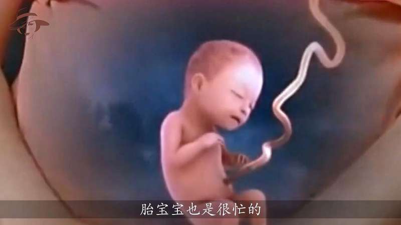 孕妇临产前30分钟和生产过程中,胎儿都在干些什么呢,太神奇了
