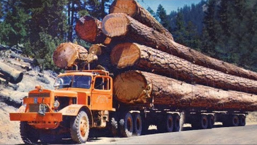 国外树木种植,砍伐运输及加工一条龙!不得不承认老外的技术震惊