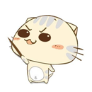 喵喵聊音乐 