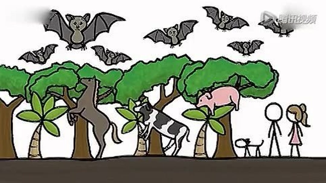 为什么蝙蝠会引发如此多的疾病,如埃博拉病毒