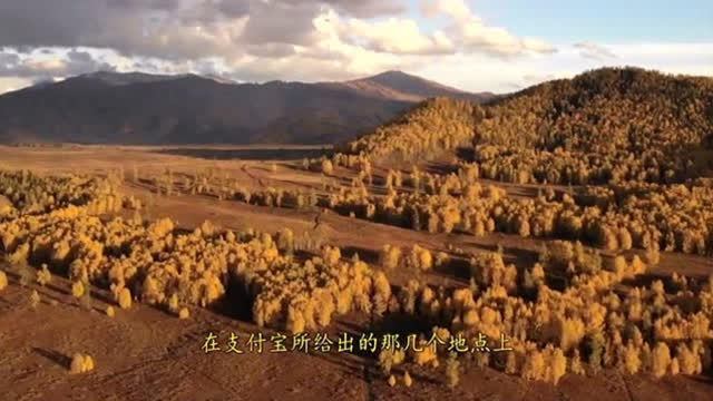 3年过去马云的蚂蚁森林怎么样?卫星拍摄照片,看后感动落泪