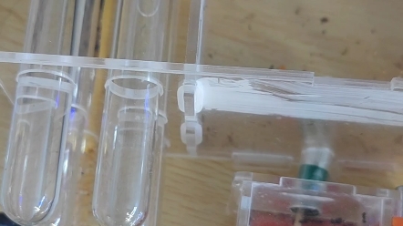 工匠收获蚁换大试管巢,亚克力试管巢设计尽然这么不合理