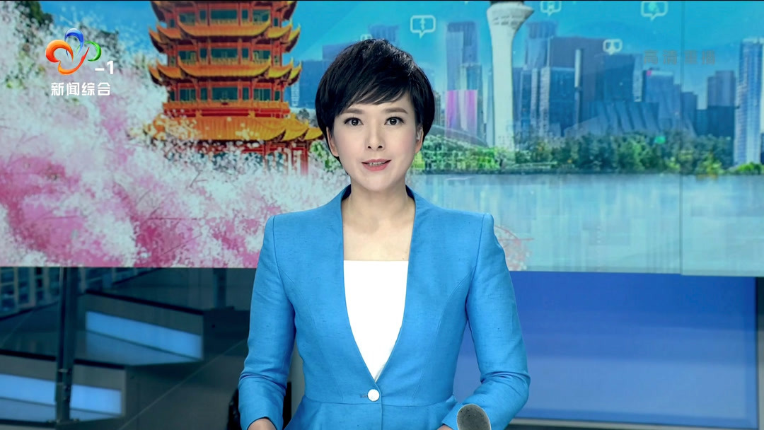武汉经开区表彰一批抗疫先进个人和集体