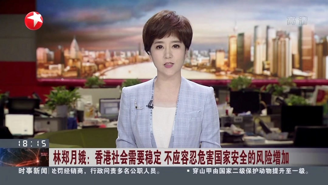 林郑月娥:香港社会需要稳定 不应容忍危害国家安全的风险增加