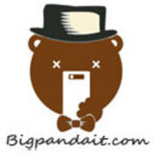 BigPandaIT 