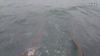 惠州巽寮湾出海捕鱼