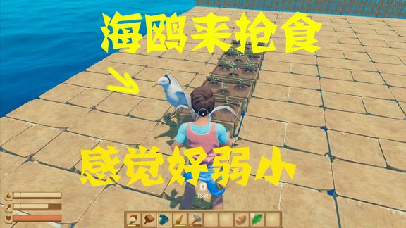 木筏生存4:开始种植解决吃饭问题,海鸥都过来抢食,好弱小的我