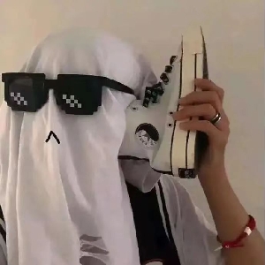 咸鱼翻身上岸版 