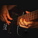 Bass贝斯肖 