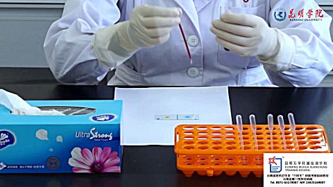血型测定,云南省三校生医学类、护理类、药剂学类专业考试视频