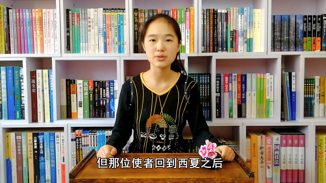 重开榷场两国纷争又起 锐意进取君臣共推新法《花咪说中国通史542