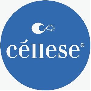 Cellese乔洛施 