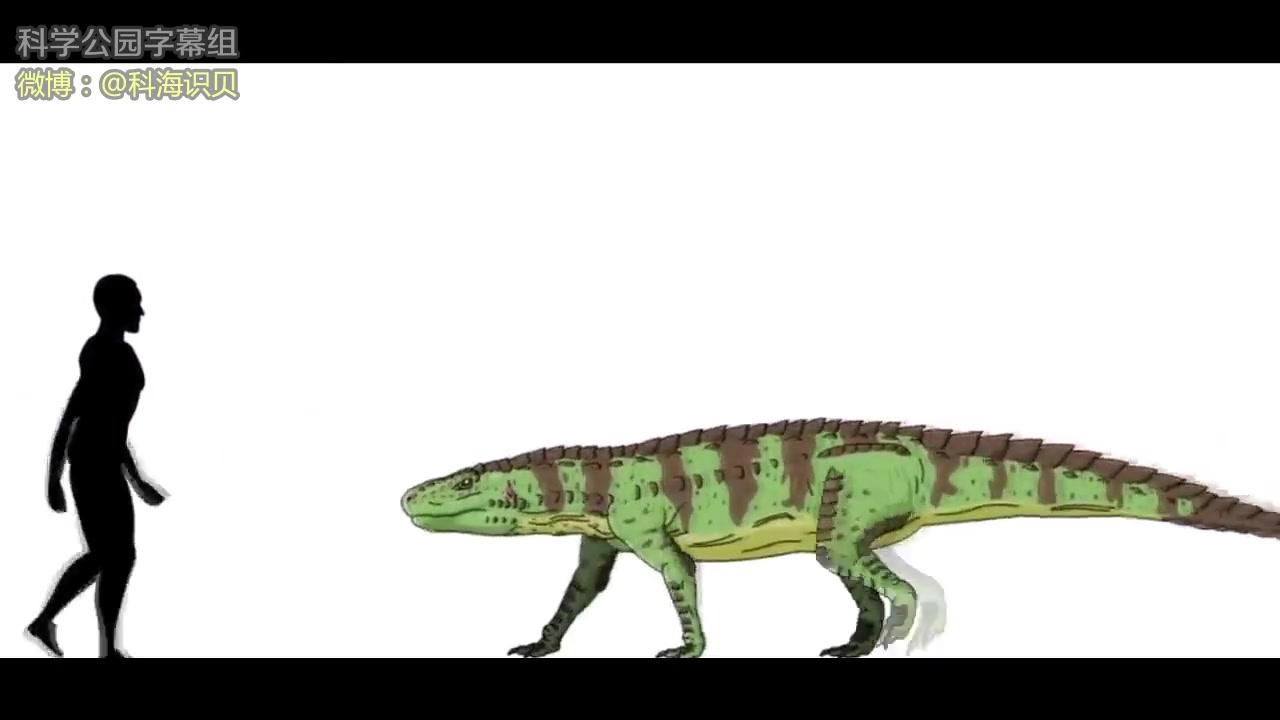 闻其名而不得见——那些已灭绝的古生物们