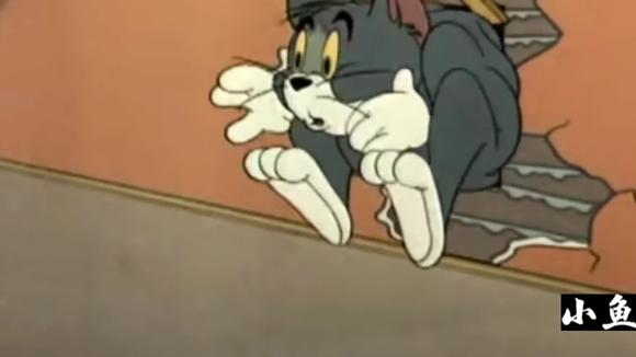 动画片猫和老鼠:大笨猫本身就很累,这次还得多斗一只猫