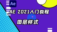 AE2021入门教程图层样式