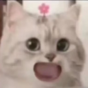 爱拖更的小奇 
