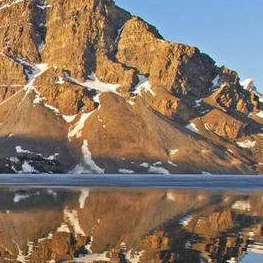 天空中飞满了小虫子 