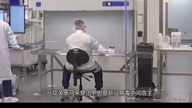 病毒源头不在中国,云南大学首次澄清新冠病毒与其它冠状病毒关系