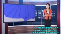 如何学书法 小学生硬笔书法教学视频 书法入门视频