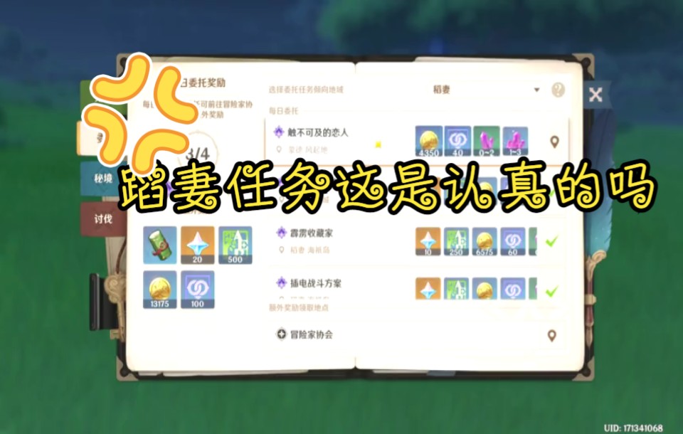 我不理解这是稻妻任务吗