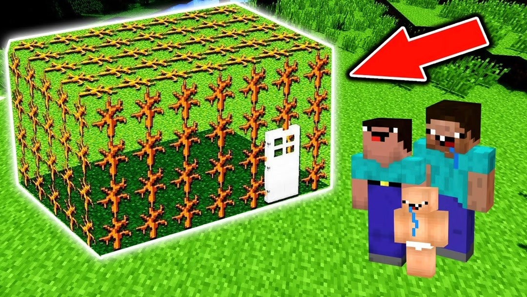 我的世界:这房子你从来没见过!