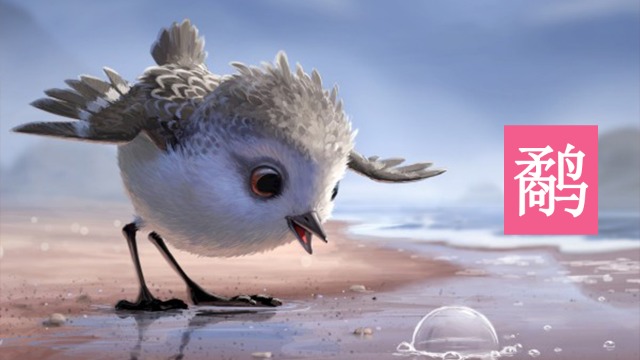 【七圆】鹬,奥斯卡最佳动画短片,小鹬觅食的成长之路!