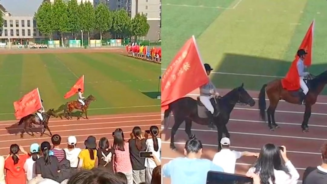 河南一高校运动会,医学生骑马举旗入场,霸气十足引全场关注