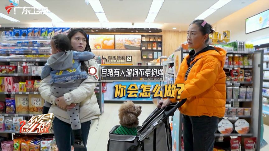 “它又不咬人!”遛狗不牵绳吓到3岁女童,狗主人遭路人教育