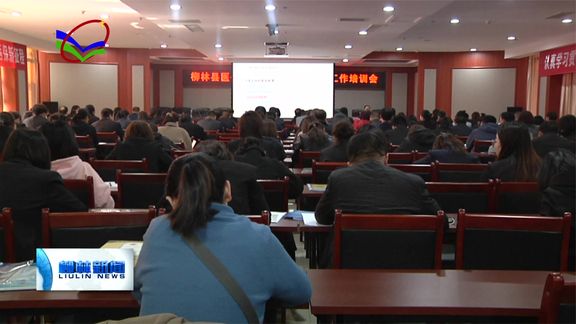 柳林县医疗保障局召开两定点机构业务工作培训会