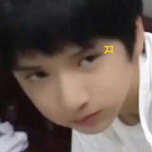 小狗来我怀里叭 